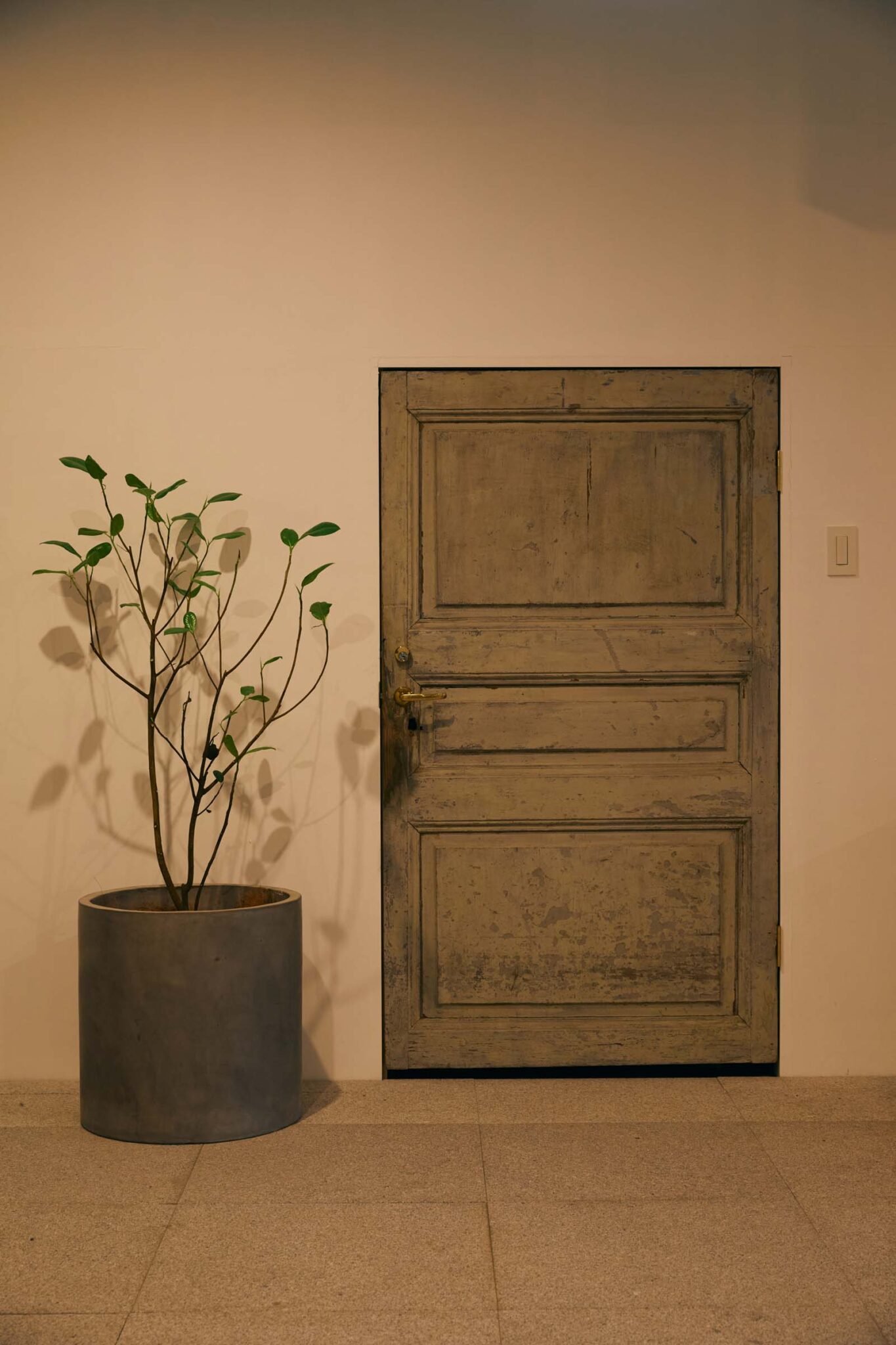 軽井沢で、展示会やイベントの会場に。「haluta」創業者のつくる、唯一無二の空間。 | MEANWHILE